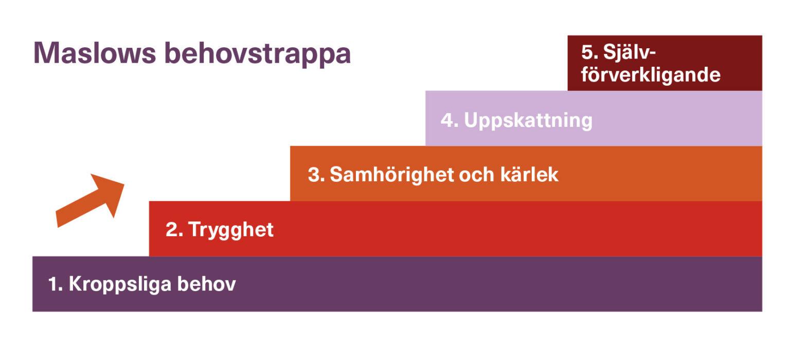Maslows behovstrappa: Lär dig motivation från grunden | Chef och ...